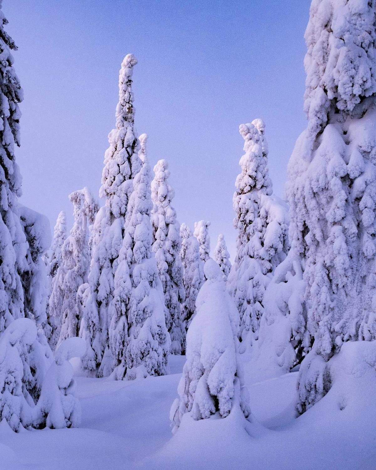 Best Finland Holidays, Tours, Trips & Luxury Travel 2025/2026 ...