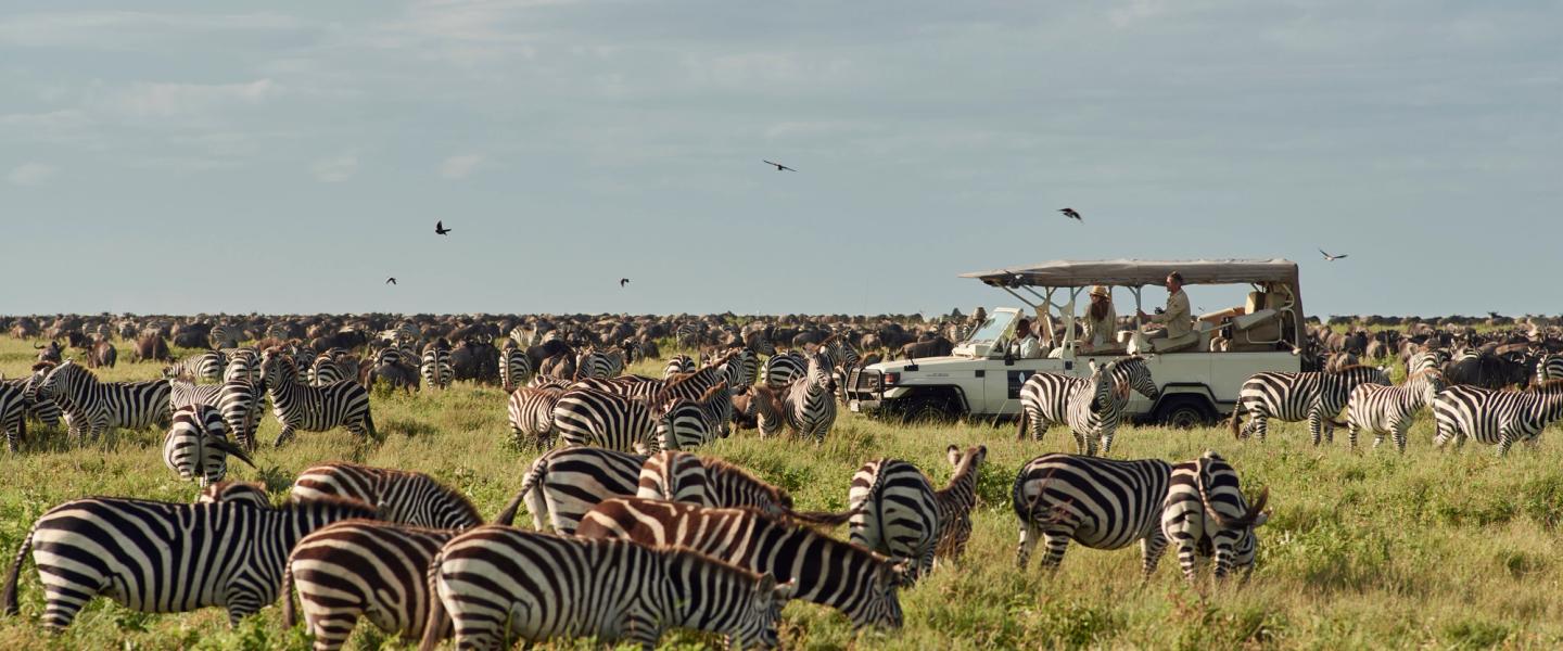 Safari | Abercrombie & Kent